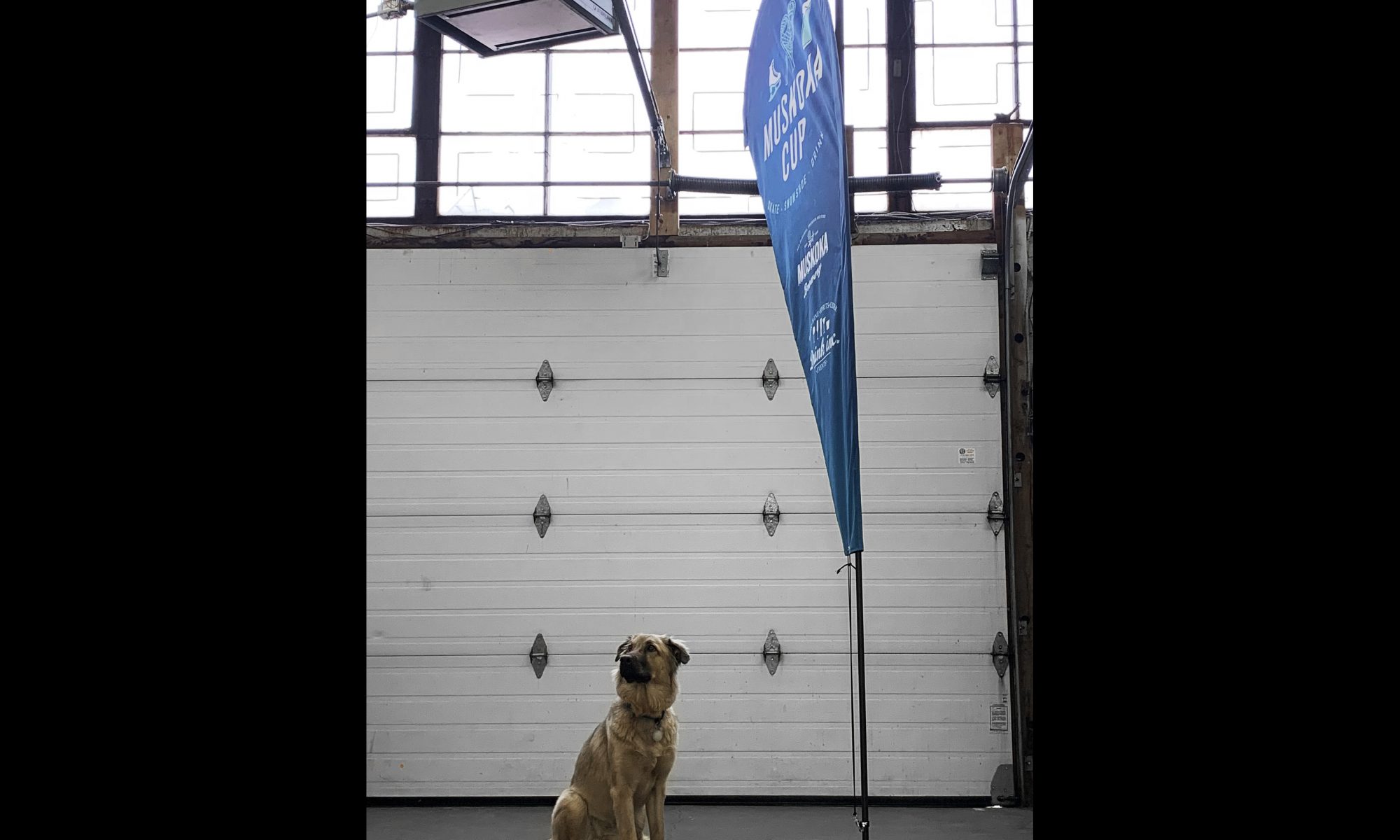 Admit One Tickets Online | Comtix Tickets