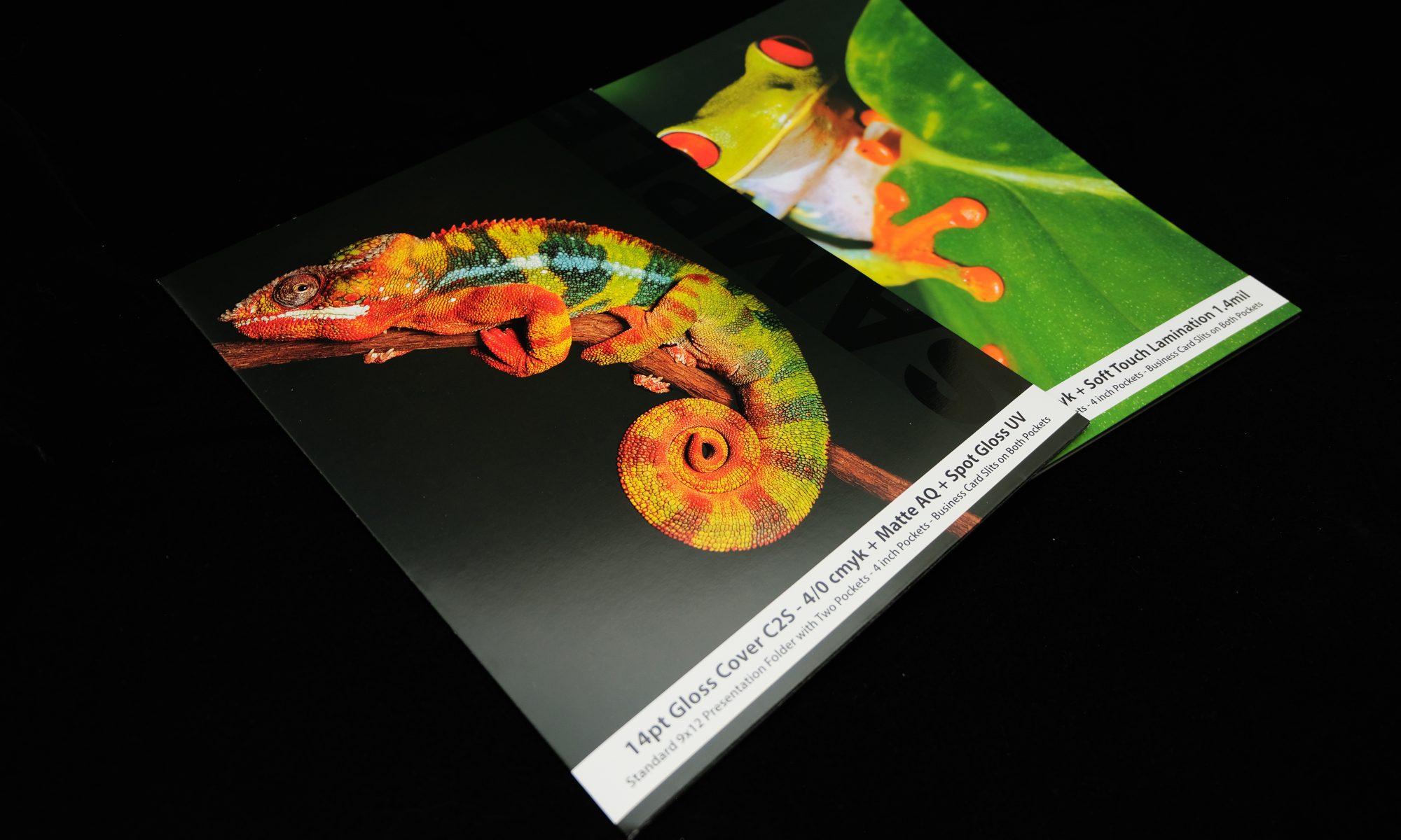 How To Organize A Raffle in 7 Easy Steps | Comtix Tickets Inc.